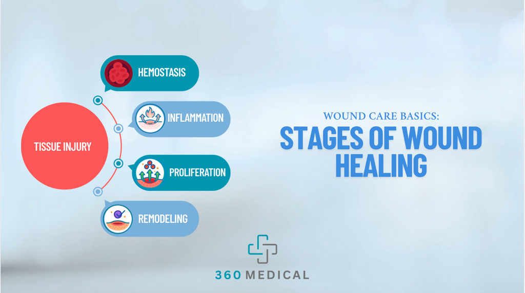 Stages of Wound Healing | 360 MEDICAL INVOICING